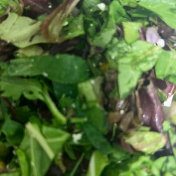 SABELI - Updated October 2025 - 22 Photos & 52 Reviews - 623 Jericho ...