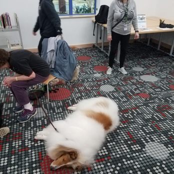 HOWARD COUNTY LIBRARY SYSTEM - EAST COLUMBIA BRANCH - Updated November ...