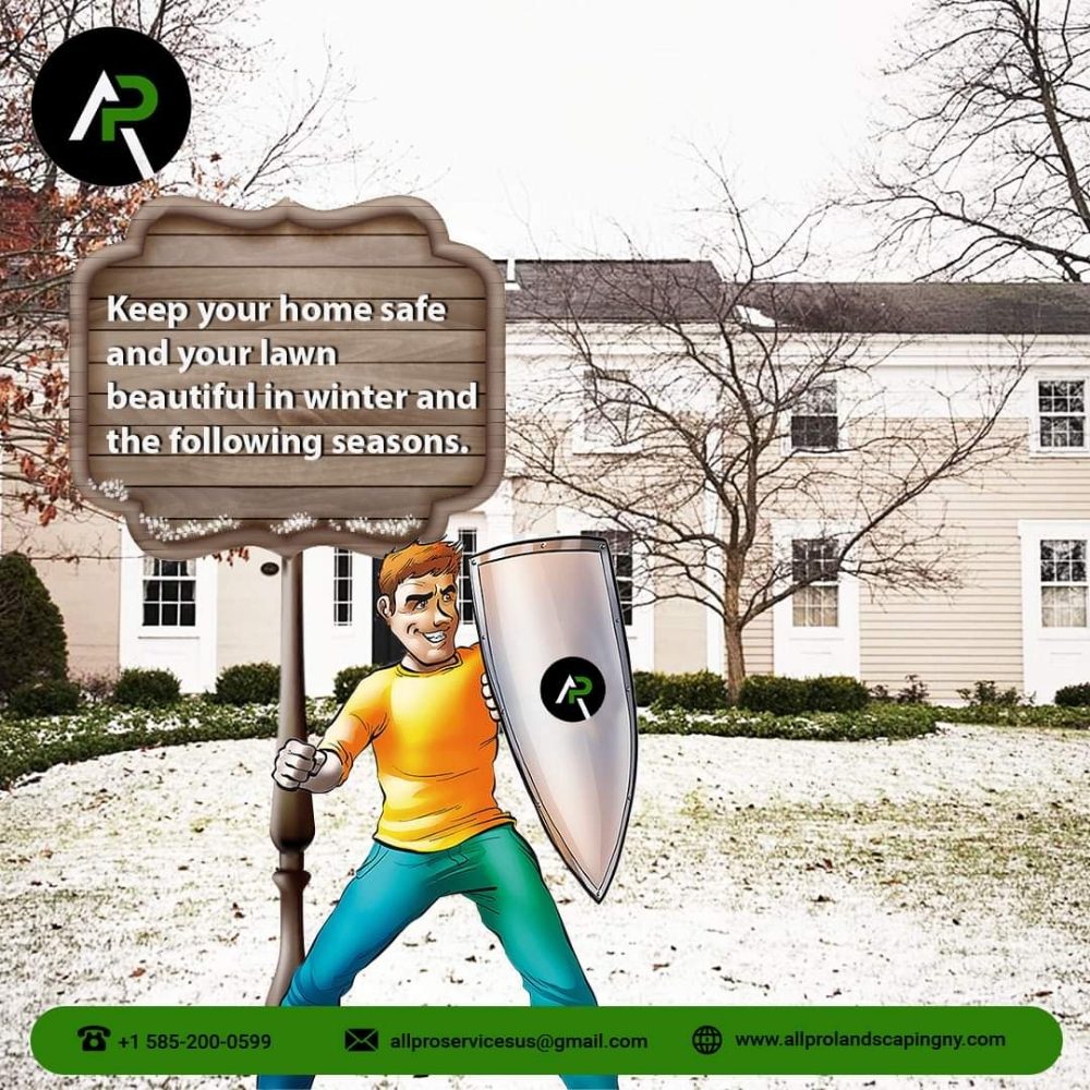 ALL PRO LANDSCAPING ROCHESTER NY - Updated January 2026 - 50 Photos ...