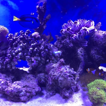 BLUE HALO MED SPA - Updated October 2025 - 33 Photos & 17 Reviews ...