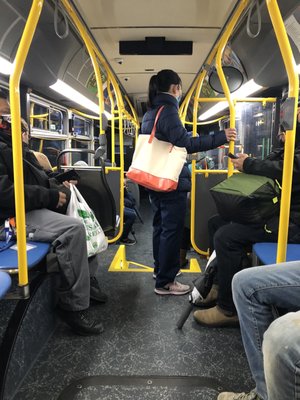 MUNI - L TARAVAL - Updated October 2024 - 127 Photos & 59 Reviews ...