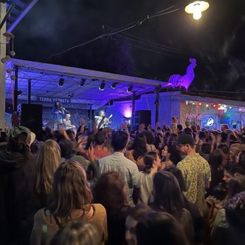 TERRA FERMATA TIKI BAR - Updated December 2025 - 115 Photos & 98 ...