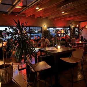 LINQ SOCIAL KITCHEN - Updated January 2025 - 175 Lafayette St ...