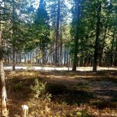 Sly Park Recreation Area - 416 Photos & 143 Reviews - Hiking - 4771 Sly ...