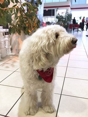 EXPRESSWAY TOYOTA - Updated December 2025 - 47 Photos & 364 Reviews ...