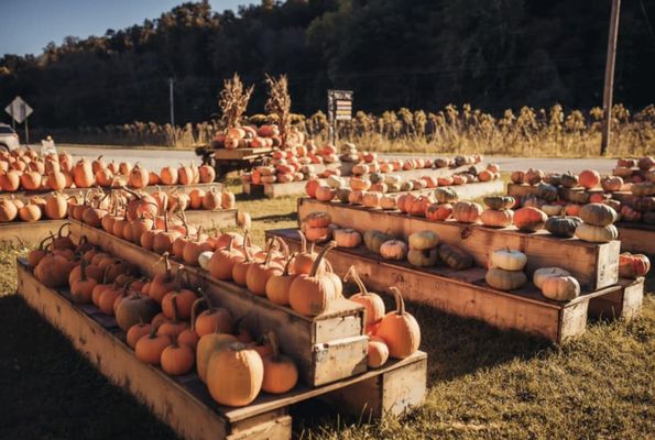 WILSON FAMILY FARM - Updated October 2025 - 16 Photos - 14552 OH-775 ...