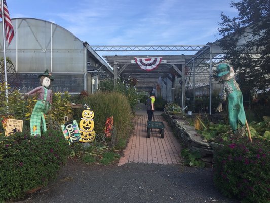 COUNTRY FLOWER FARMS - Updated October 2025 - 22 Photos - 320 ...