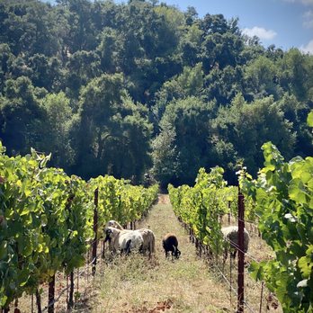 OLD CREEK RANCH WINERY - Updated December 2025 - 574 Photos & 285 ...