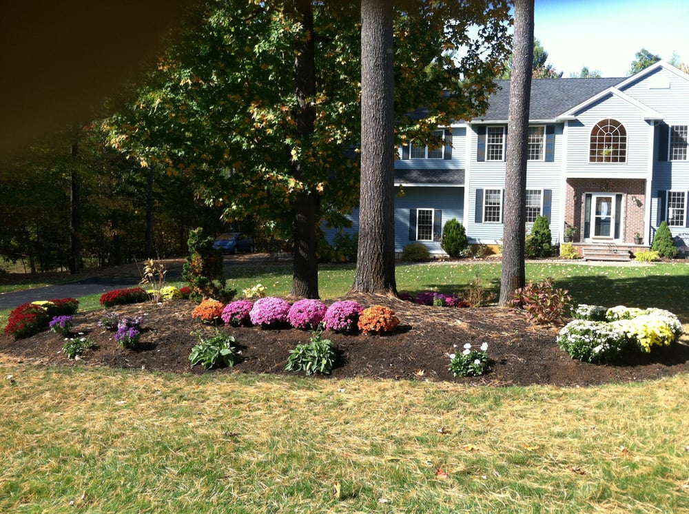 BACKWOODS LANDSCAPING - Updated July 2025 - 352 Mammoth Rd, Londonderry ...