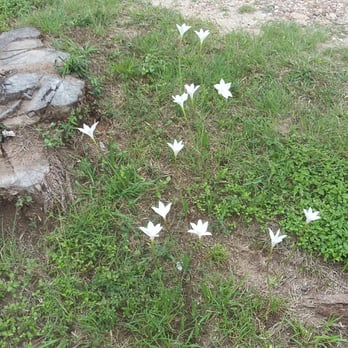 MUSTANG HOLLOW CAMPGROUND - Updated October 2025 - 65 Photos & 11 ...