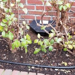 MARINA PEST CONTROL - 19 Photos & 98 Reviews - Pest Control - 150 S ...