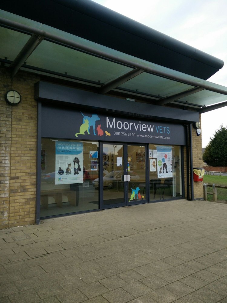 MOORVIEW VETS - Earsdon Road, Shiremoor, Tyne and Wear, United Kingdom ...