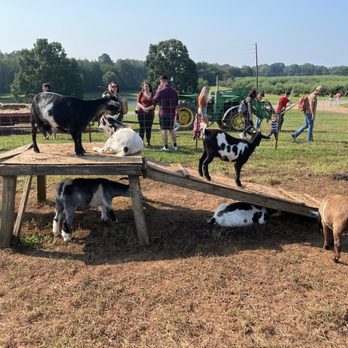 CARRIGAN FARMS - Updated July 2025 - 235 Photos & 74 Reviews - 1261 Oak ...