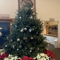 ST BERNADETTE CATHOLIC CHURCH - 14 Photos - 2085 Hwy 105 S, Linville ...