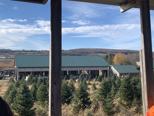 SPRINGSIDE FARM - Updated July 2025 - 12 Photos - 1850 NY-91, Fabius ...