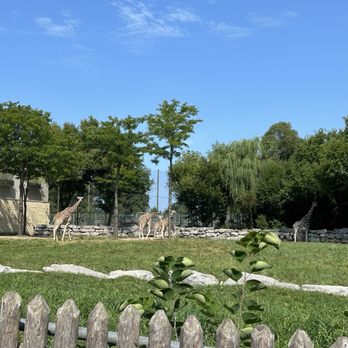 DETROIT ZOO - Updated September 2025 - 1764 Photos & 467 Reviews - 8450 ...