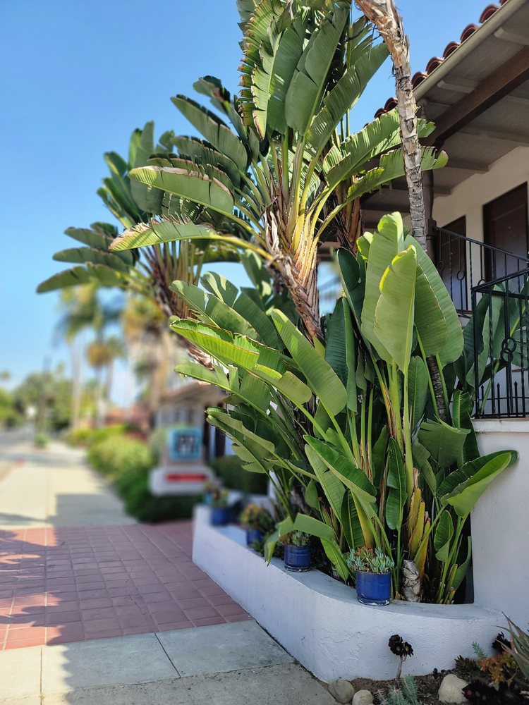 CASA DEL MAR INN - 198 Photos & 215 Reviews - 18 Bath St, Santa Barbara ...