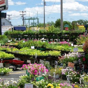 HARBOR FREIGHT TOOLS - Updated October 2025 - 22 Photos - 4636 East ...