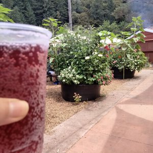 THE PEG HOUSE - 223 Photos & 187 Reviews - Convenience Stores - 69501 ...