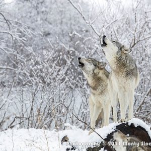 PROPHETSTOWN STATE PARK - Updated April 2025 - 72 Photos & 30 Reviews ...