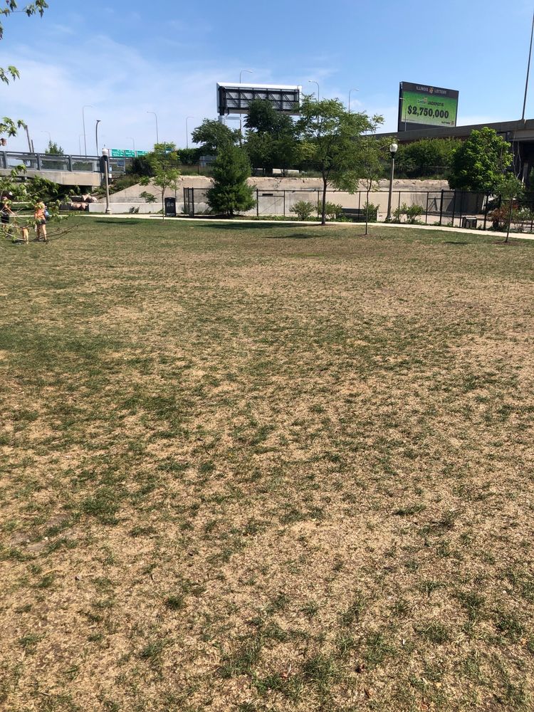 WALSH PARK - Parks - 1722 N Ashland Ave, Chicago, IL - Yelp