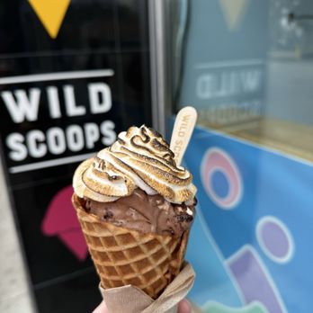 WILD SCOOPS - Updated July 2025 - 411 Photos & 363 Reviews - 429 E St ...