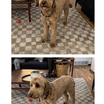 REBER RANCH - Updated December 2025 - 134 Photos & 227 Reviews - 28606 ...