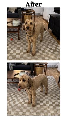 REBER RANCH - Updated October 2025 - 134 Photos & 225 Reviews - 28606 ...