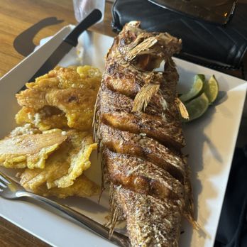 PONCE RESTAURANT - Updated July 2025 - 356 Photos & 423 Reviews - 4313 ...