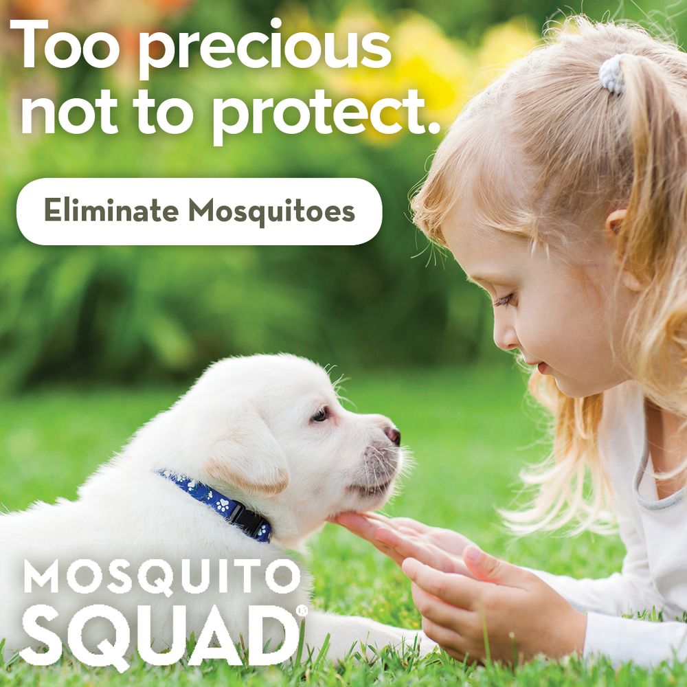 Mosquito Squad Of Greater Austin Updated April 2025 15 Photos And 36