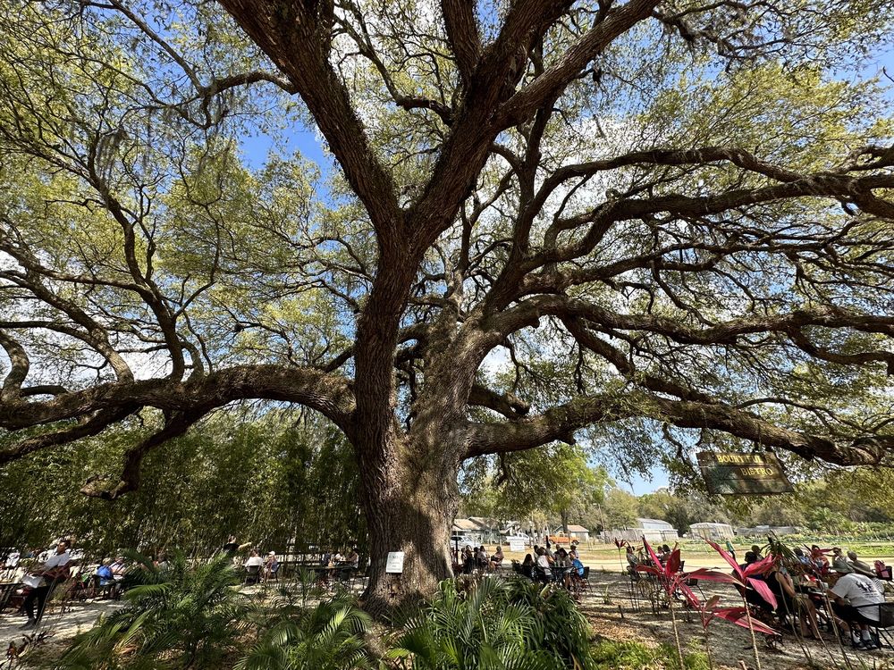 BOUNTIFUL FARMS BISTRO - Updated December 2025 - 82 Photos & 56 Reviews ...