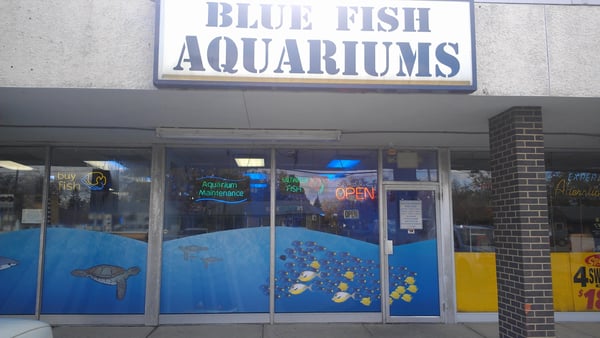 BLUE FISH AQUARIUMS - Updated July 2025 - 23 Reviews - 5379 Mayfield Rd ...