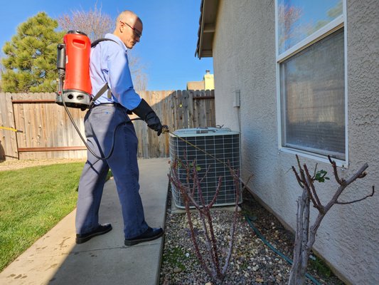 PRIZE PEST CONTROL - Updated December 2025 - 27 Photos & 26 Reviews ...