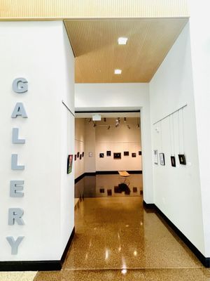 WINDMILL LIBRARY - Updated April 2025 - 324 Photos & 174 Reviews - 7060 ...