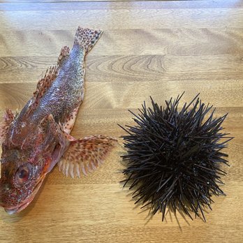 REEL FOODS FISH MARKET - Updated September 2025 - 26 Photos & 142 ...