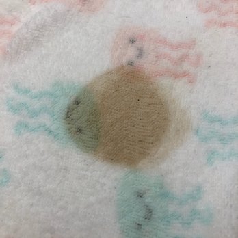 PROLINE MANAGEMENT - Updated December 2025 - 16 Photos & 10 Reviews ...