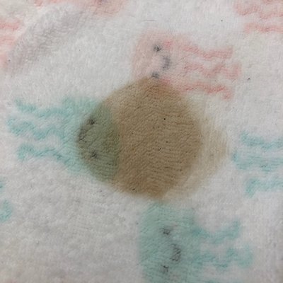 PROLINE MANAGEMENT - Updated December 2025 - 16 Photos & 10 Reviews ...