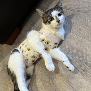 PREDMORE VETERINARY CLINIC - LAWRENCE M PREDMORE DVM - Updated December ...