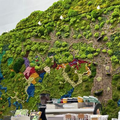 THE HARVEST PATIO - 12 Photos - 6000 Glades Rd, Boca Raton, FL - Yelp