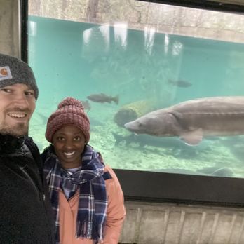 BONNEVILLE DAM FISH HATCHERY - Updated May 2024 - 447 Photos & 107 ...