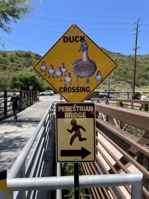 LAGUNA BEACH ANIMAL SHELTER - Updated September 2025 - 25 Photos & 52 ...