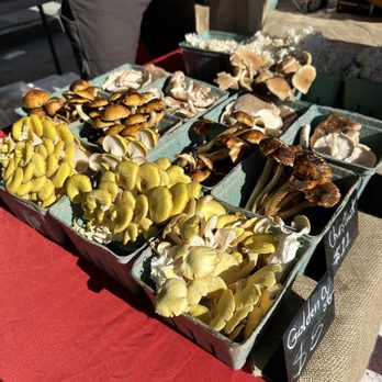 CLEMENT STREET FARMERS MARKET - Updated June 2025 - 635 Photos & 104 ...