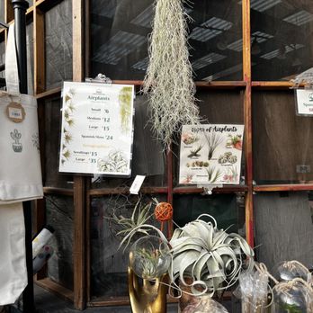 GREEN CONNECTION - Updated December 2025 - 14 Photos & 10 Reviews - 804 ...