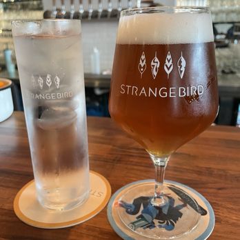 STRANGEBIRD - Updated December 2024 - 286 Photos & 164 Reviews - 62 Marshall St, Rochester, New ...