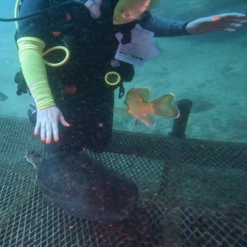 ATLANTIC PRO DIVERS - Updated November 2025 - 140 Photos & 28 Reviews ...