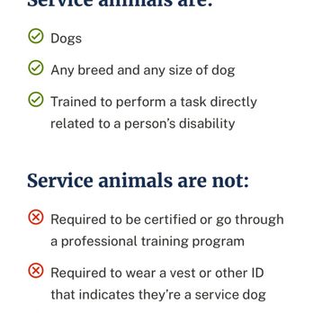 TERRA LUNA CAFE - Updated March 2025 - 185 Photos & 115 Reviews - 225 ...