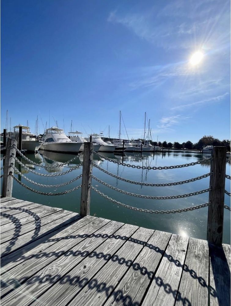 YORK RIVER YACHT HAVEN - Updated August 2025 - 64 Photos & 20 Reviews ...