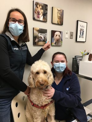 MSPCA-ANGELL WEST - Updated December 2025 - 21 Photos & 80 Reviews ...