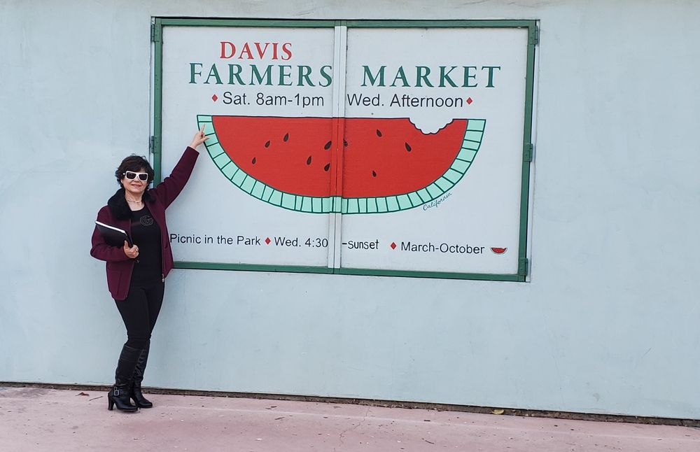 ANNA ALJABIRY - EXPO REALTY - Updated April 2024 - 27 Photos - 2603 ...