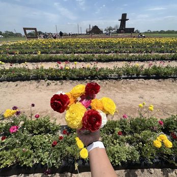 ROCKBERRY RANCH - Updated May 2024 - 91 Photos & 14 Reviews - 995W ...